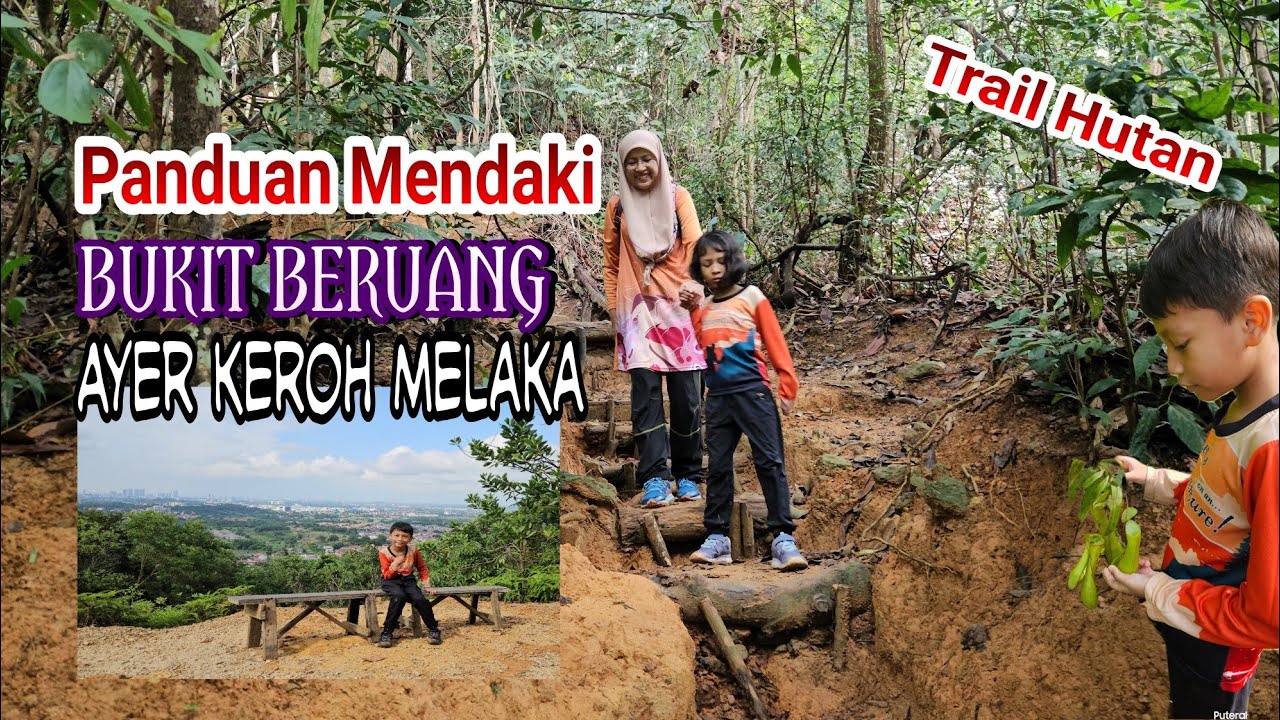 Panduan Mendaki Bukit Beruang Trail Hutan - YouTube