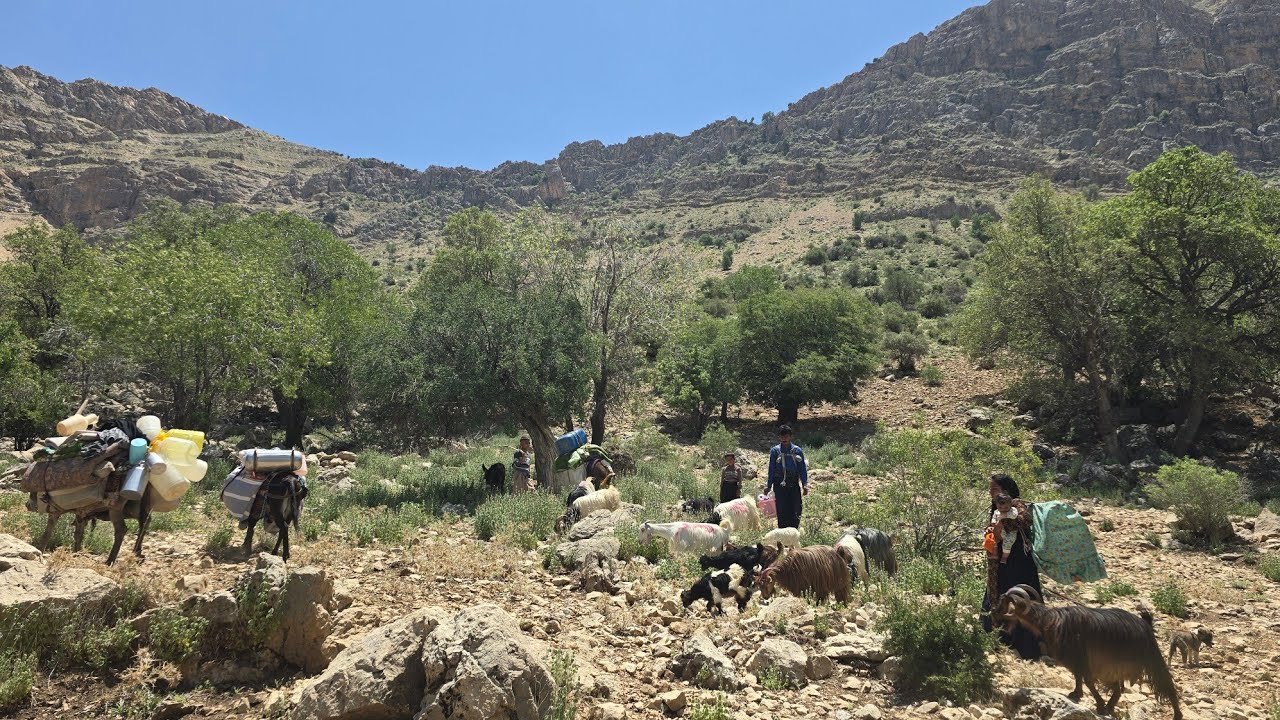 Breathtaking journey of nomads to cold regions: traditional migration ...