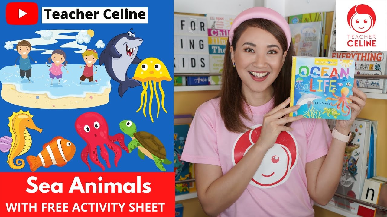 Ocean Life by Jill McDonald | Sea Animal Song | Storytelling | Learning ...