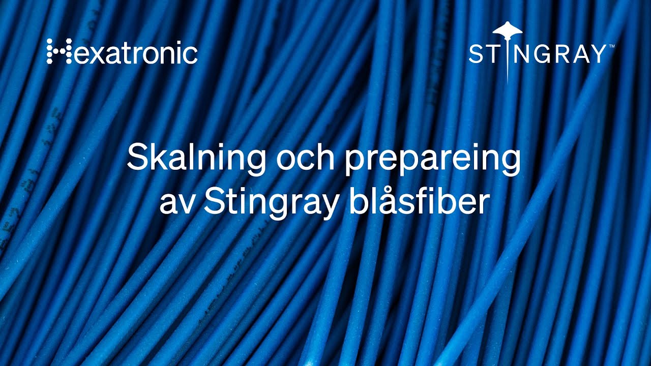 Skalning och preparering av Hexatronic Stingray blåsfiber - YouTube