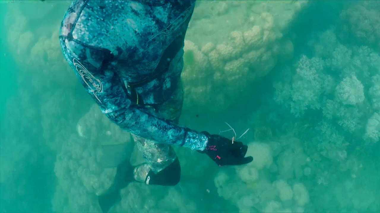 The hunt for Crayfish in Far North Queensland - YouTube