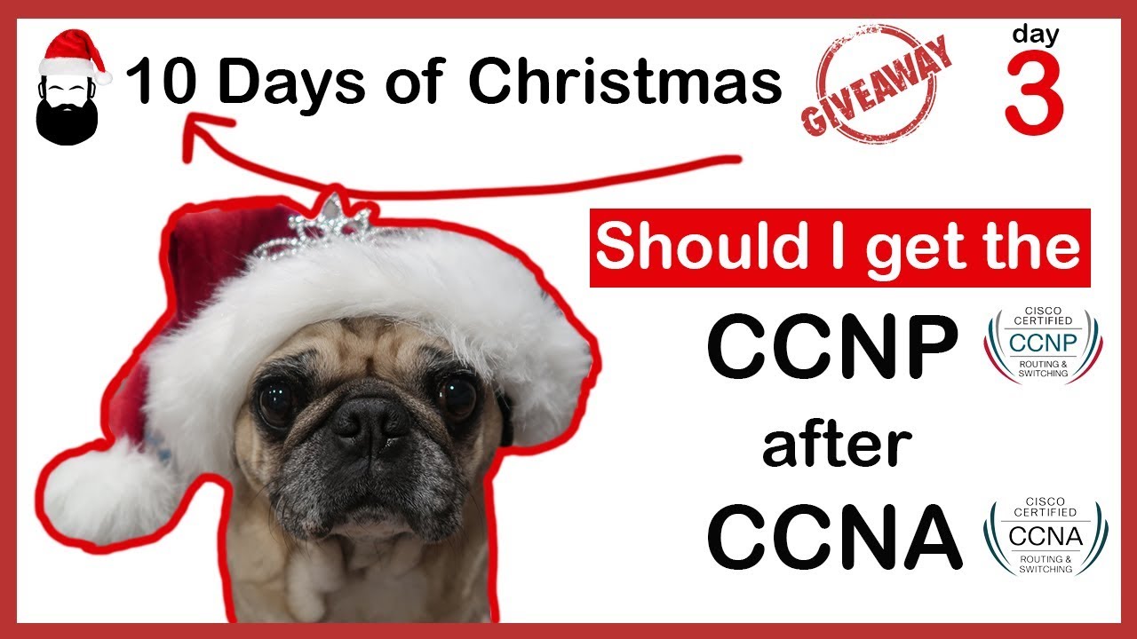 Should I Get the CCNP After the CCNA? - YouTube