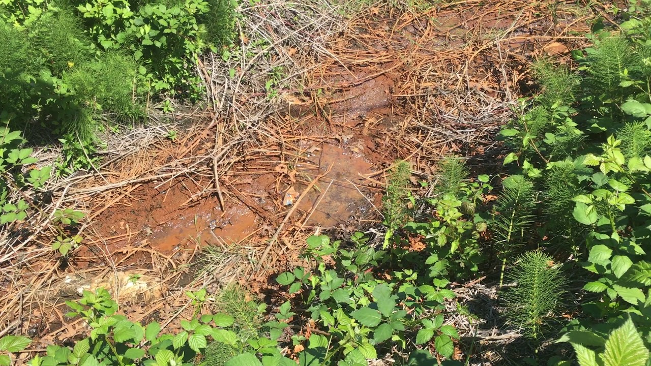 IMG 8129 - Orange Sludge - Anacortes, R Ave - YouTube