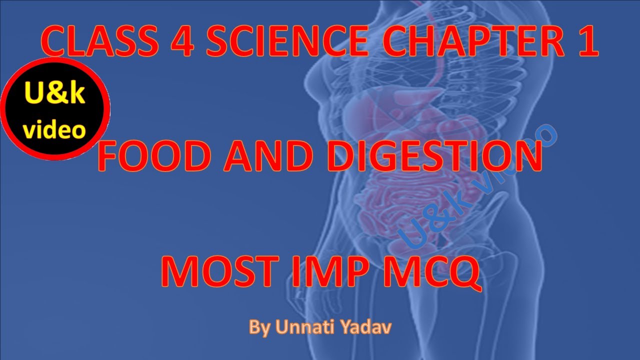 Food and Digestion MCQ |Class 4 Science Food and Digestion | MCQ Food ...