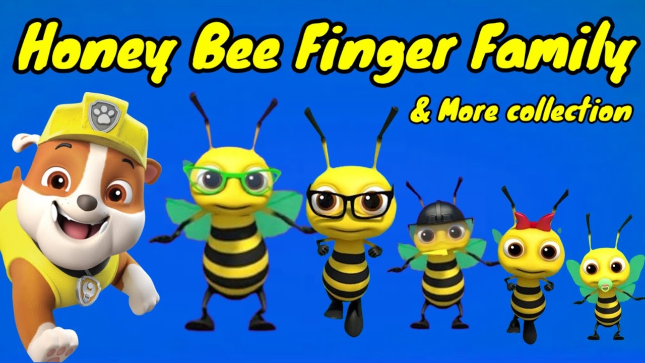 Honey bee Finger Family Song 03 | Top 5 Honey bee Finger Family ...