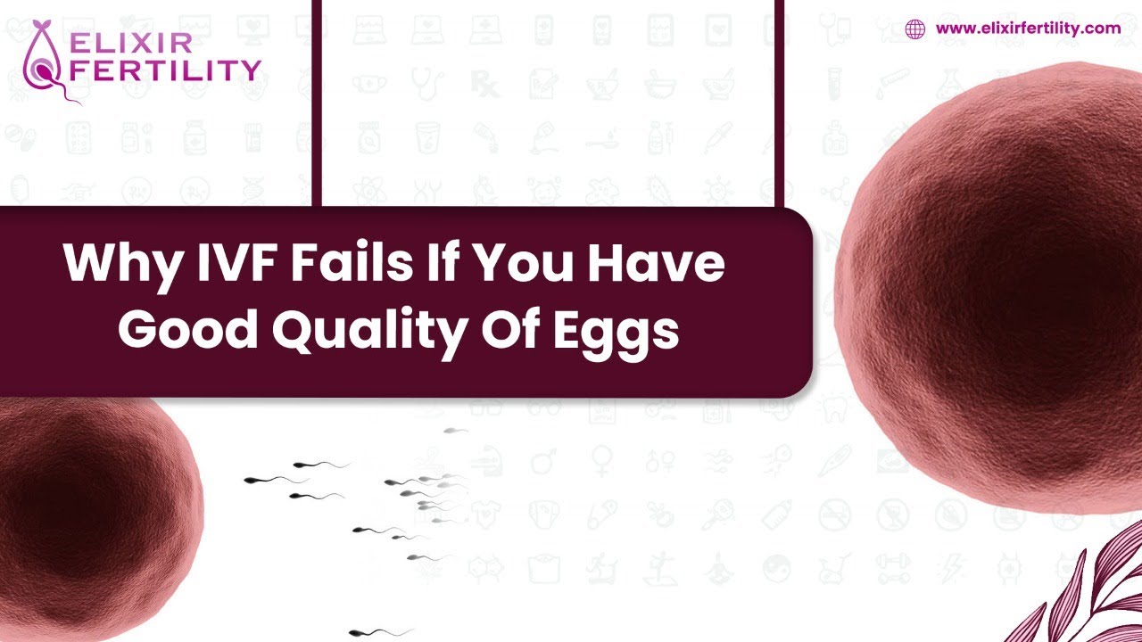 Why IVF Fails If You Have Good Quality Eggs? | Embryo quality ...