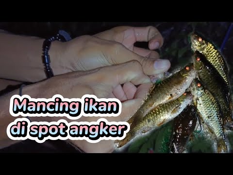 Mancing Ikan lele disungai sehabis hujan - YouTube