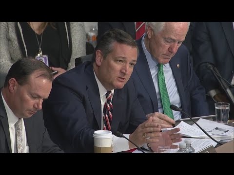 Texas Senator Ted Cruz Grills Facebook CEO Mark Zuckerberg