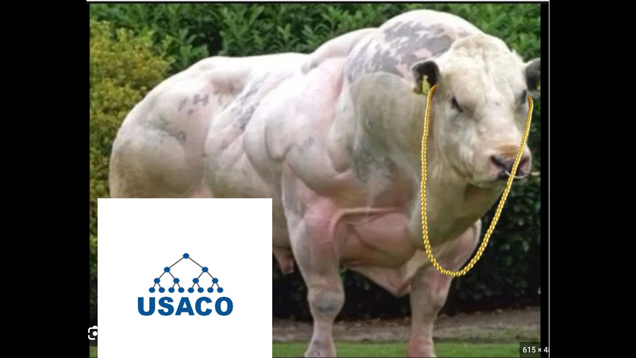 GOLD - USACO 2023 December Editorial - YouTube