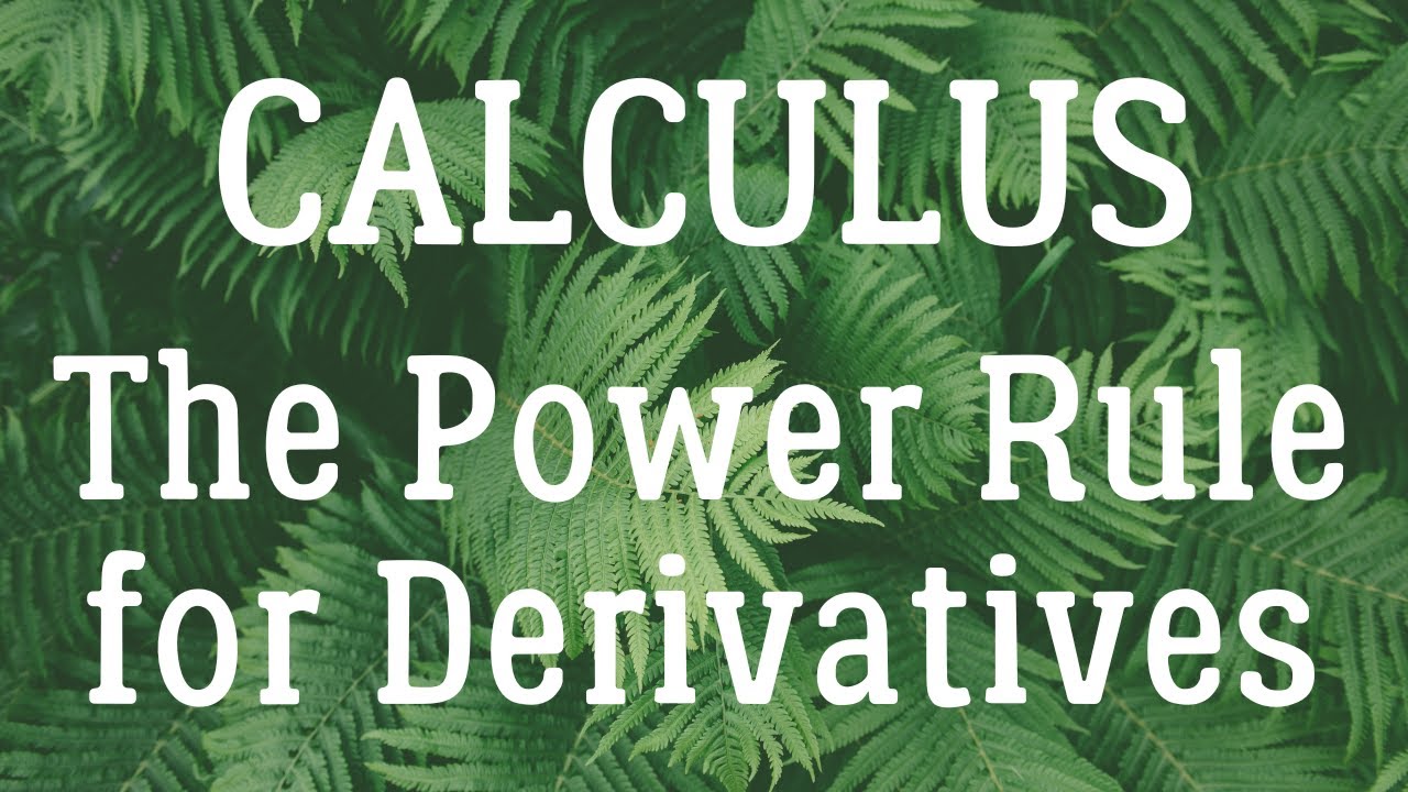 Calculus - The Power Rule for Derivatives - YouTube