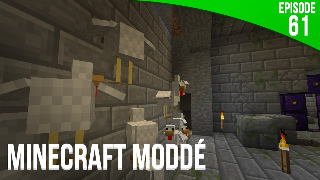 Tir au poulet ! ! | Minecraft Moddé S2 | Episode 61 - YouTube
