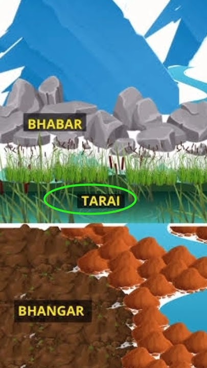 What is Bhabar ,Terai ,Khadar ,bhangar, delta #upsc #exam #ssc #himalayas #study #geography # ...