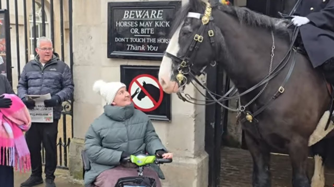 Kind police officer helps woman in a mobility scooter to have a loving ...