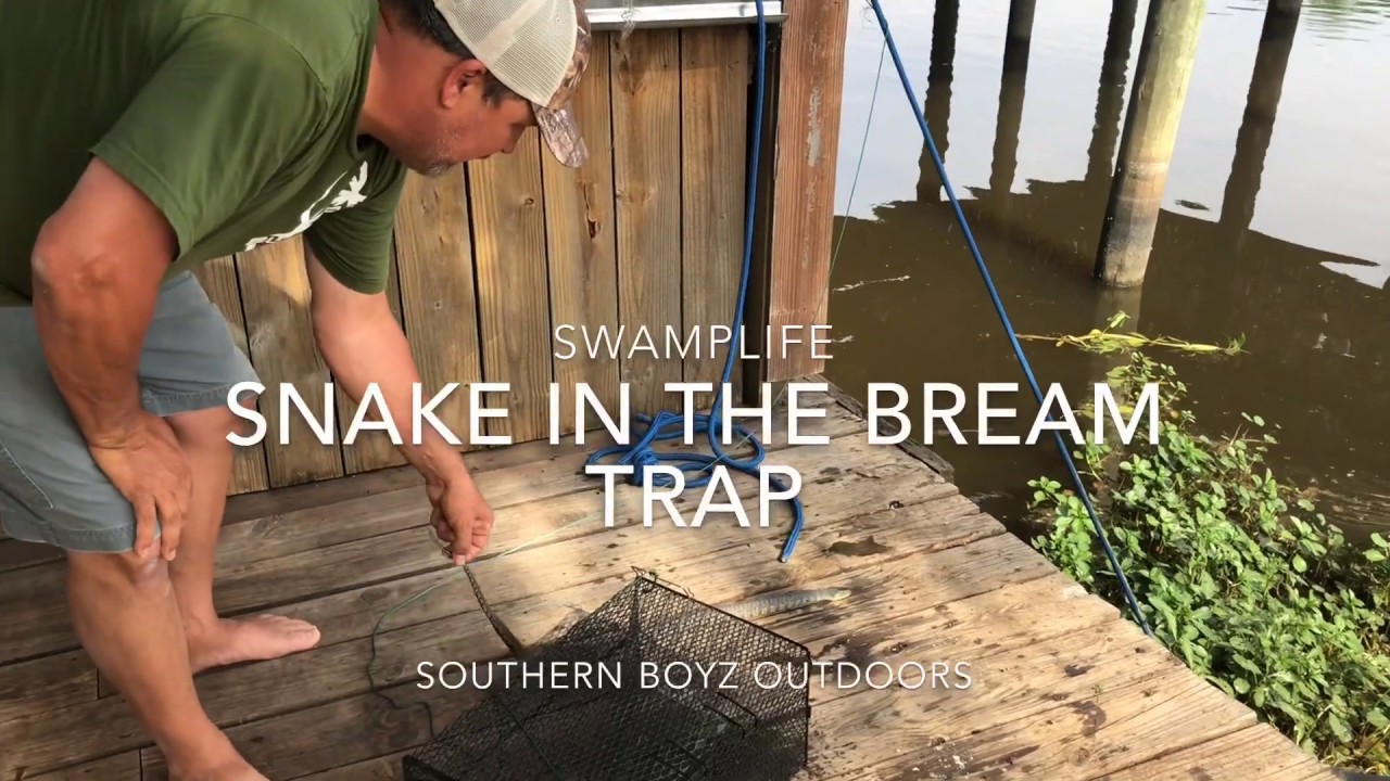 SNAKE CPR - YouTube