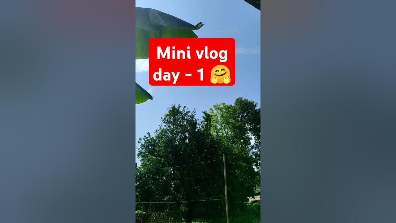 Mini vlog day -1 🤗☀️#trendingshorts #minivlog #vlog #shorts #viralvideo #fypyoutube #trending # ...