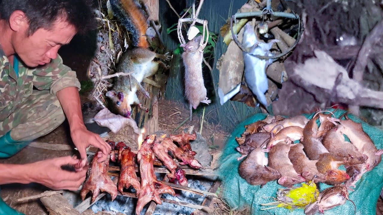 Squirrel Mouse Bird Hunting Catch And Cook #14 | Yos Hav Zoov Tua Noog ...