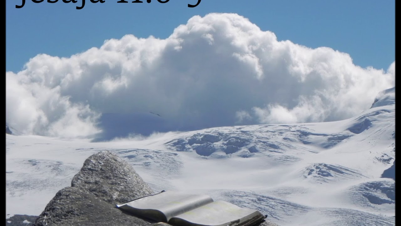 Roger Liebi - Jesaja 11.6-9 Wird es ein 1000-jähriges Friedensreich ...