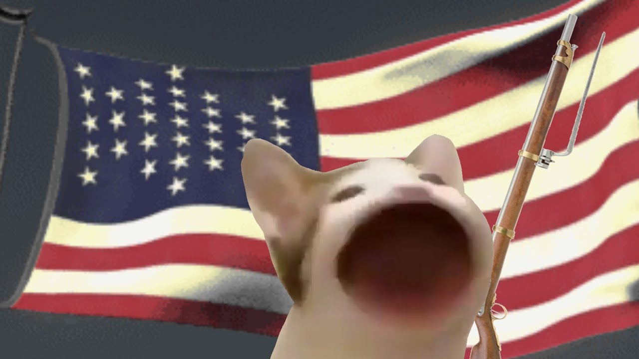 union dixie cat - YouTube