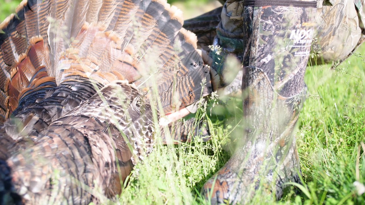 BEST BOOTS FOR TURKEY HUNTING - Dryshod Footwear - YouTube