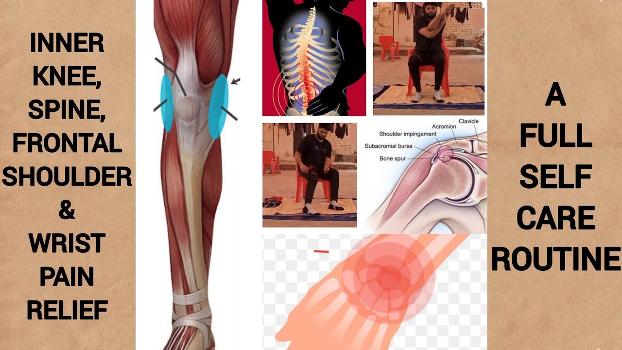 The Next One: Knee, Spine, Shoulder & Wrist Pain Relief | Repair ...