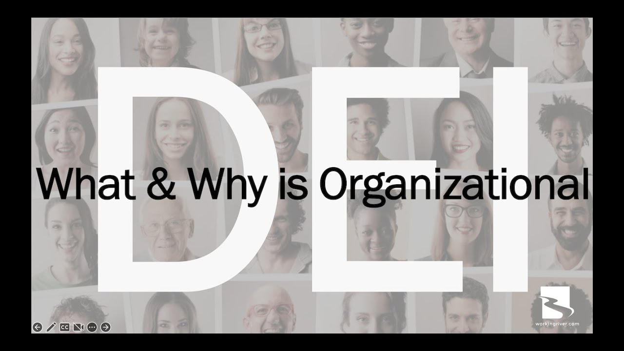 What & Why is Organizational DEI - YouTube