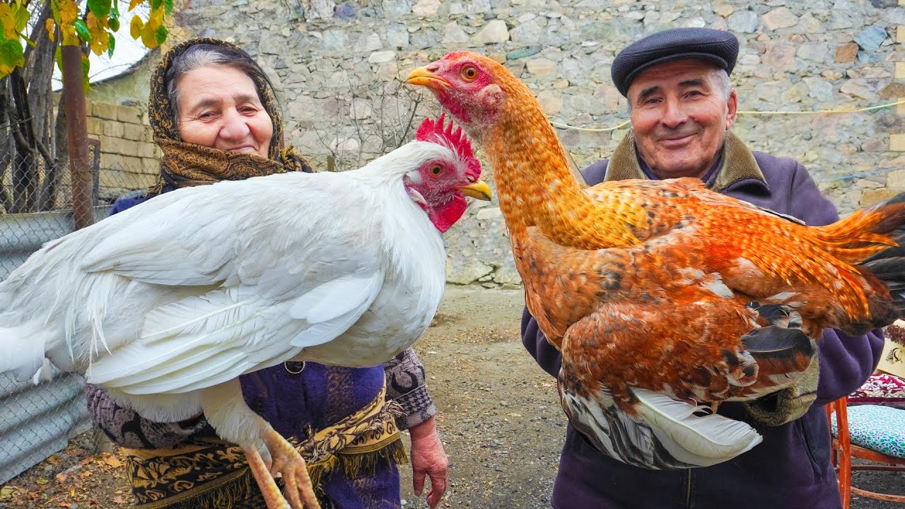 AZERBAIJAN Village: Best Chicken Leg, Wing and Breast Grilled Recipe ...