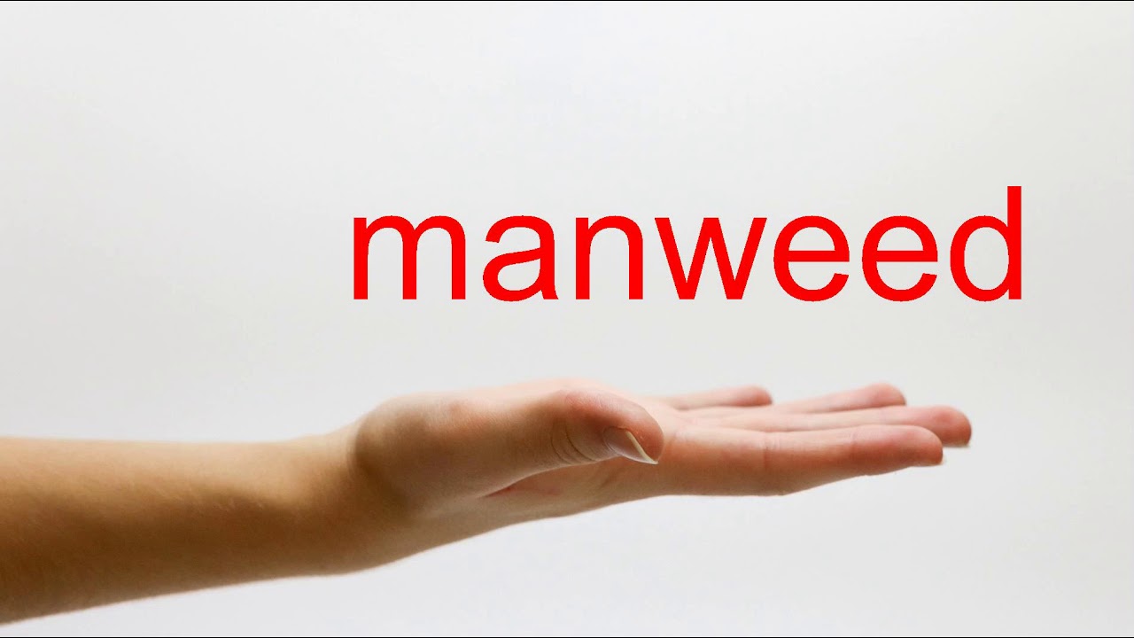 How to Pronounce manweed - American English - YouTube