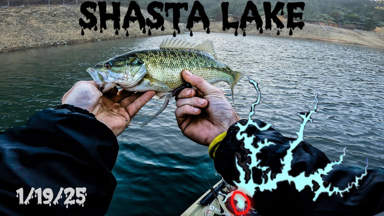 DEEP FISH AT SHASTA LAKE - YouTube