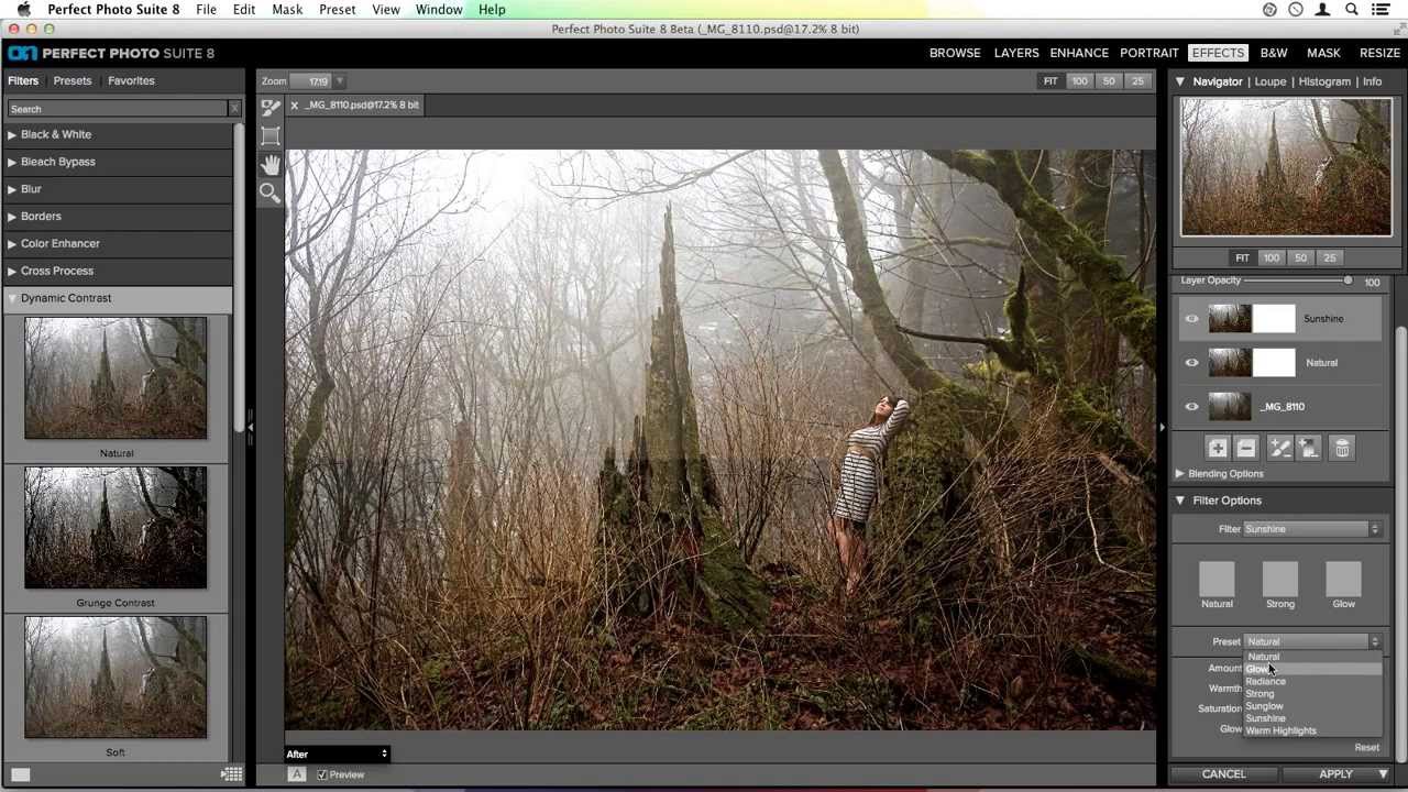 The NEW Perfect Effects 8 with Liz LePage - YouTube