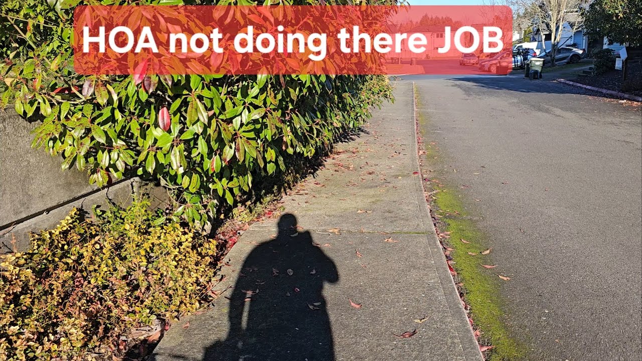 WTF HOA not doing there job who's getting paid. - YouTube