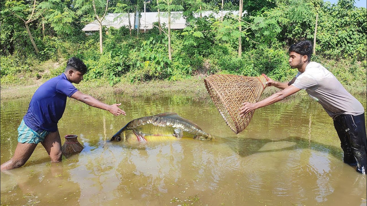Fishing Video | Traditional Smart Little Boys Catching Big Fish With Polo In Rainy Water - YouTube