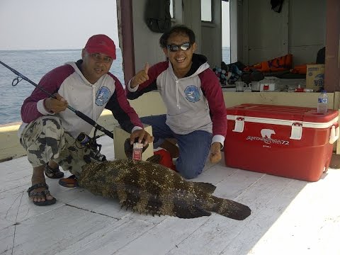 Kerapu Monster - Mancing di Selat Sunda