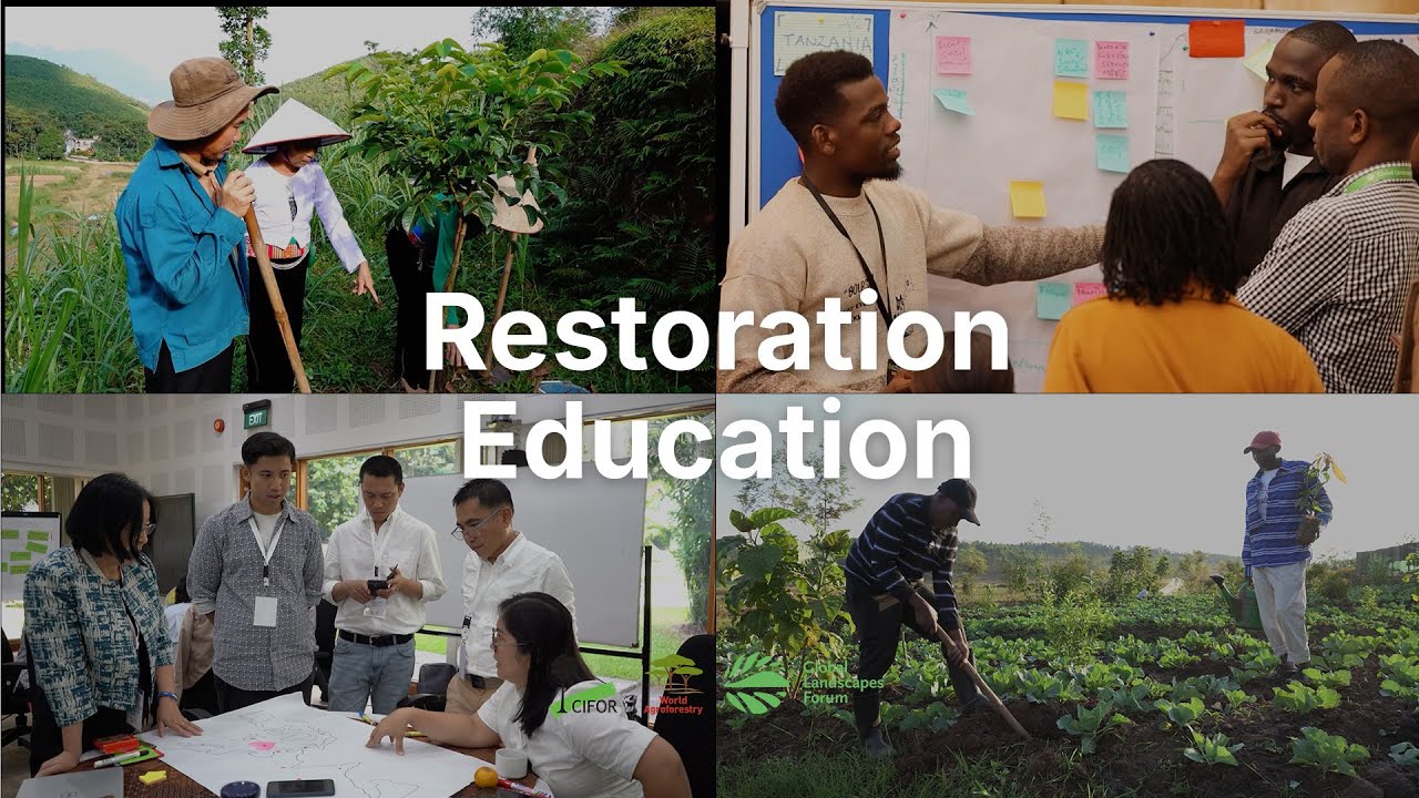 Restoration Education: Learning together, restoring together - YouTube