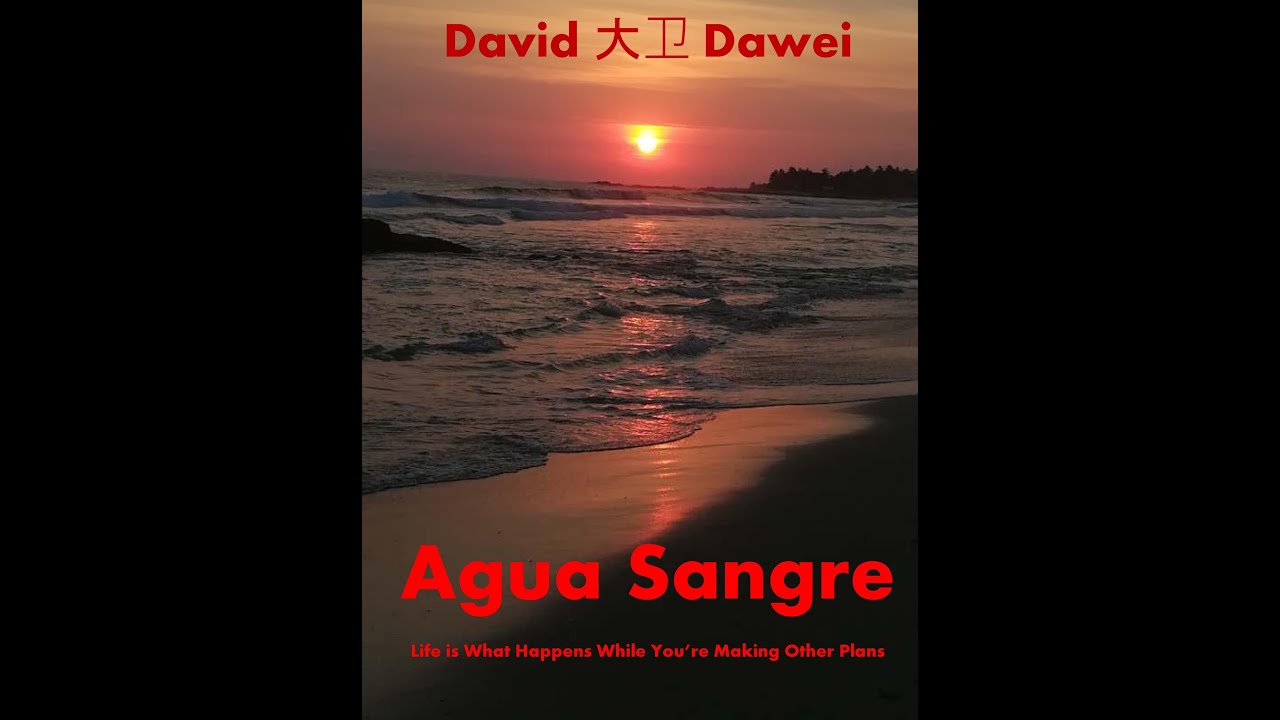 Book Trailer - Agua Sangre by David Dawei - YouTube