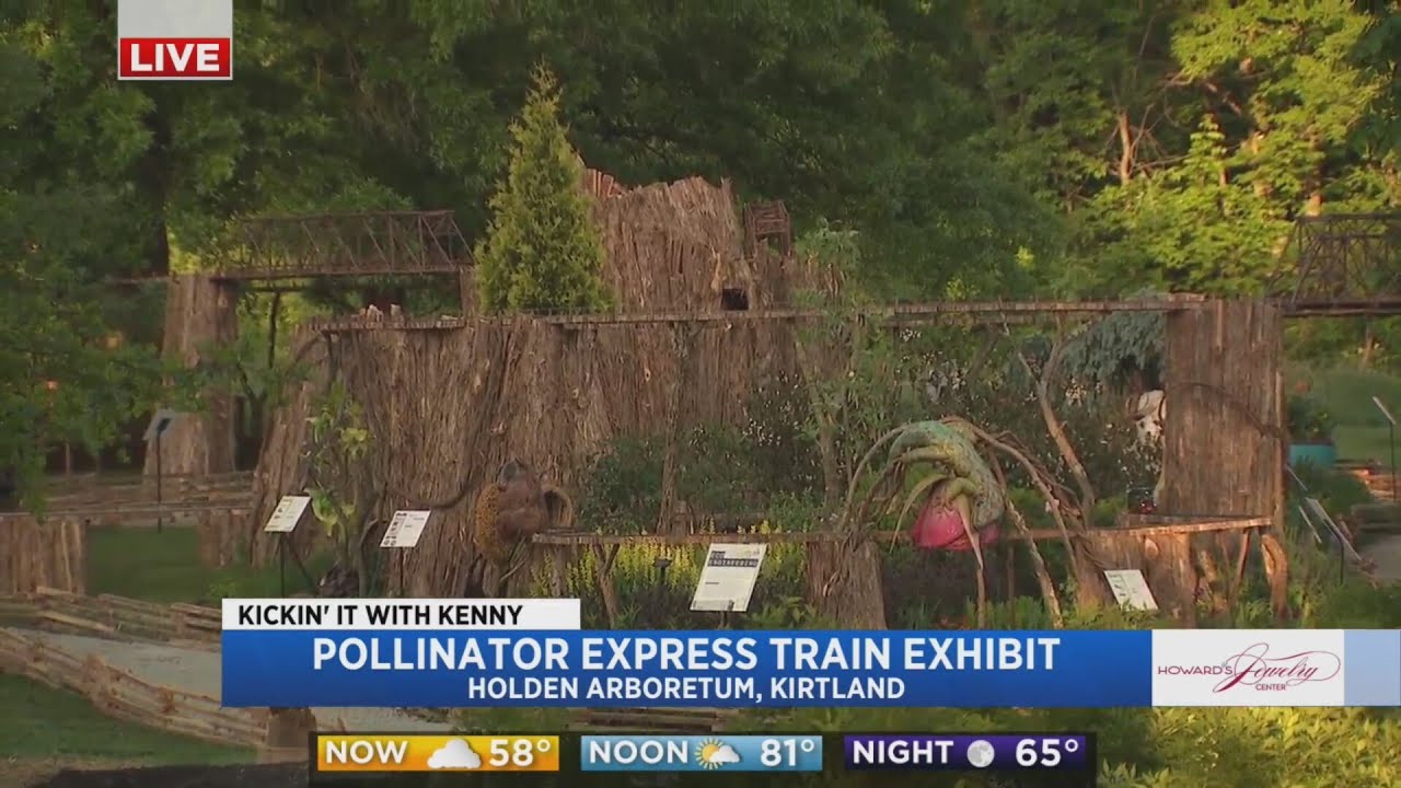Kenny explores new Pollinator Express exhibit at Holden Arboretum - YouTube