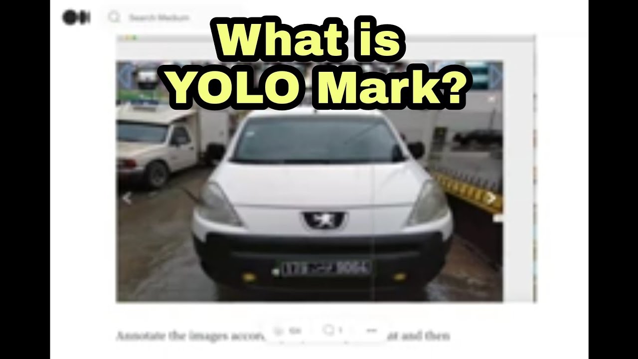 What is YOLO Mark ? - YouTube