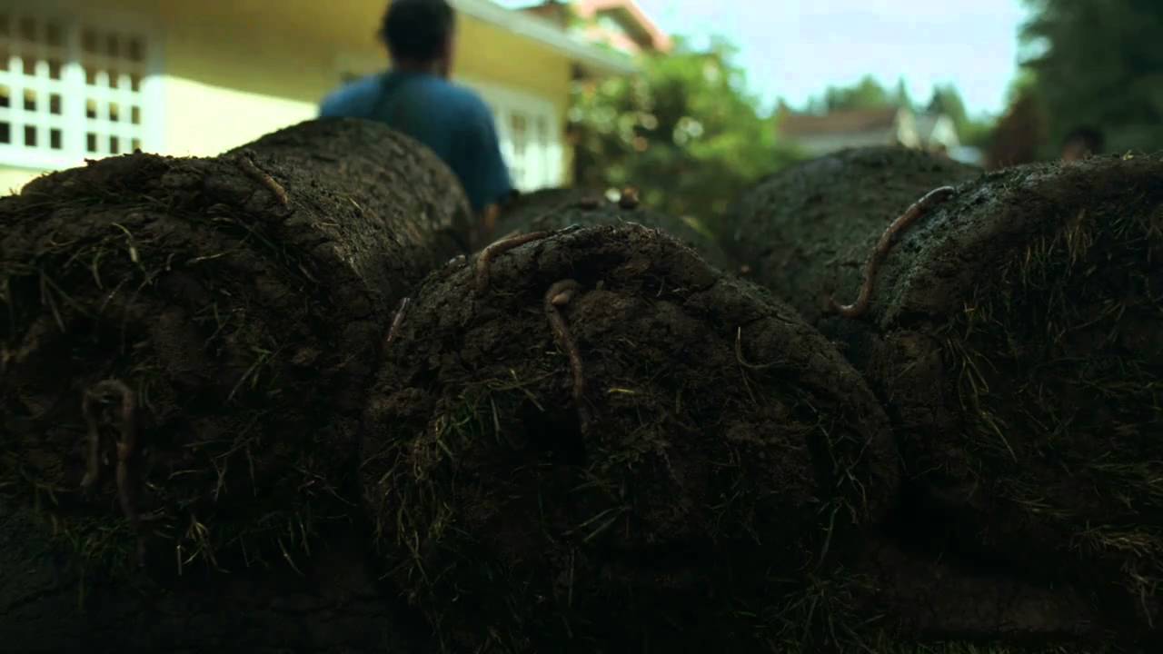 "The Details" Film Titles - YouTube