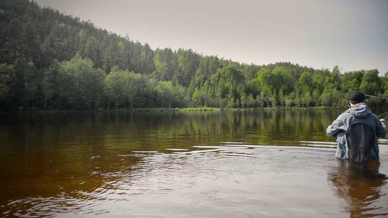 Flyfishing in Rena river Norway. Grayling and trout. - YouTube