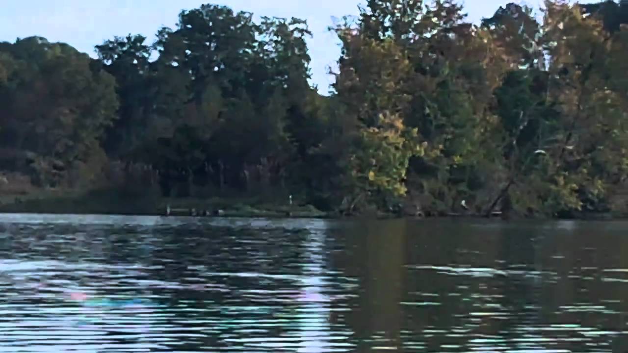 Alabama River Video part 3 - YouTube