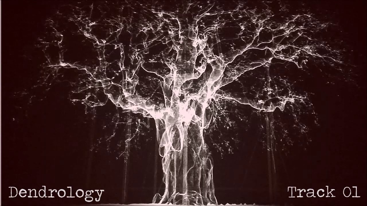 Dendrology (01) - YouTube
