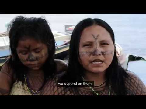 Movimento Ipereg Ayu, Brazil - Equator Prize 2015 Winner