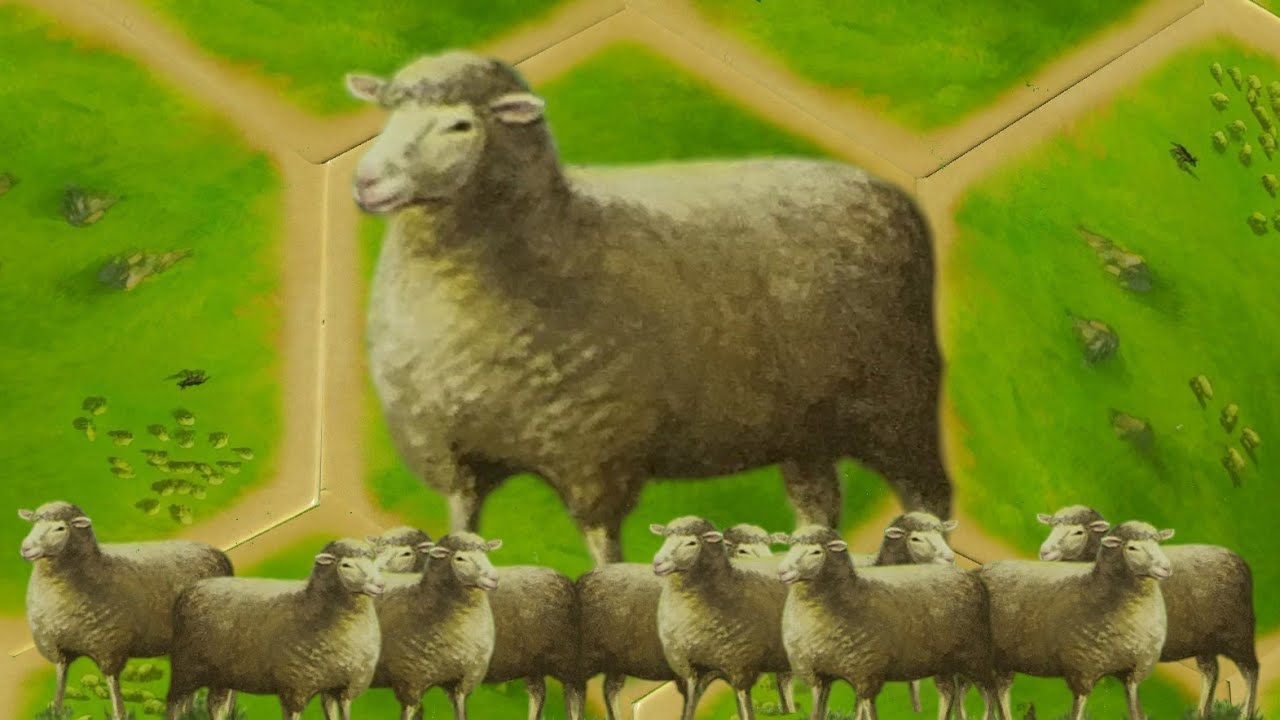 So Many Sheep! - Catan Part 5 - YouTube
