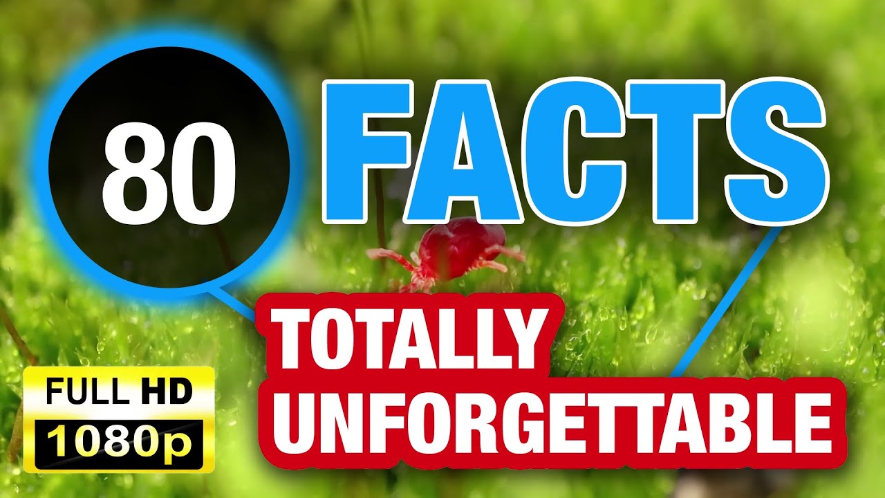 80 Mind Blowing Random Facts That Will Amaze You - YouTube