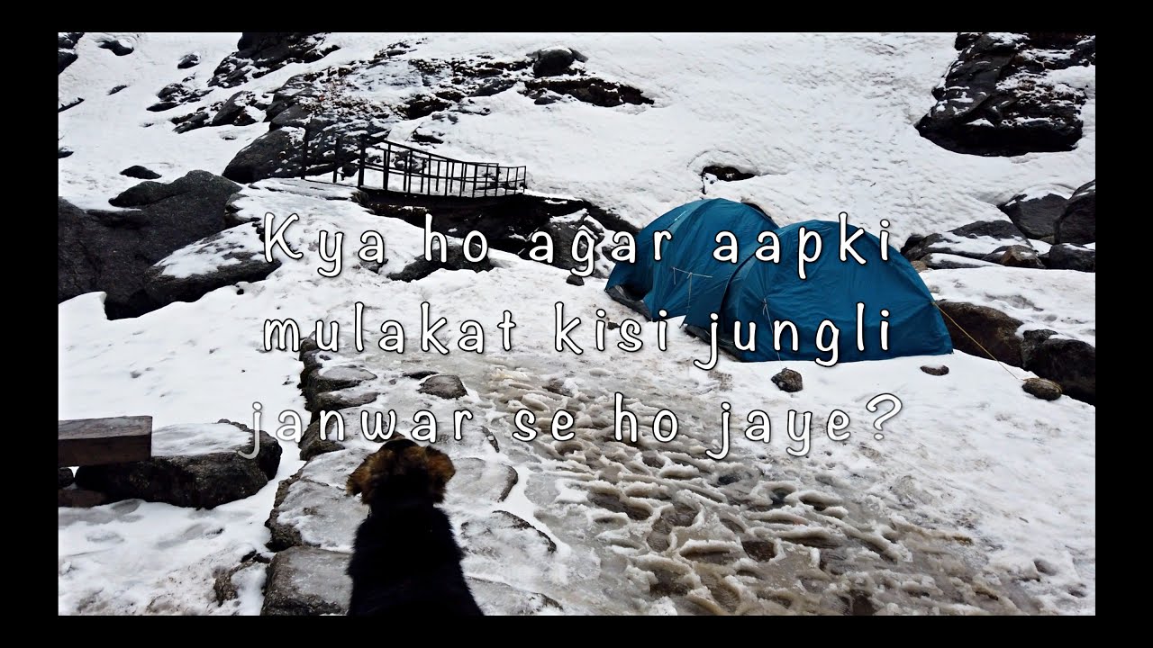 A Beginner Experience of Trekking,Kreri trek Part 2 - YouTube