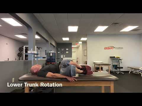 What muscles do trunk rotations work?