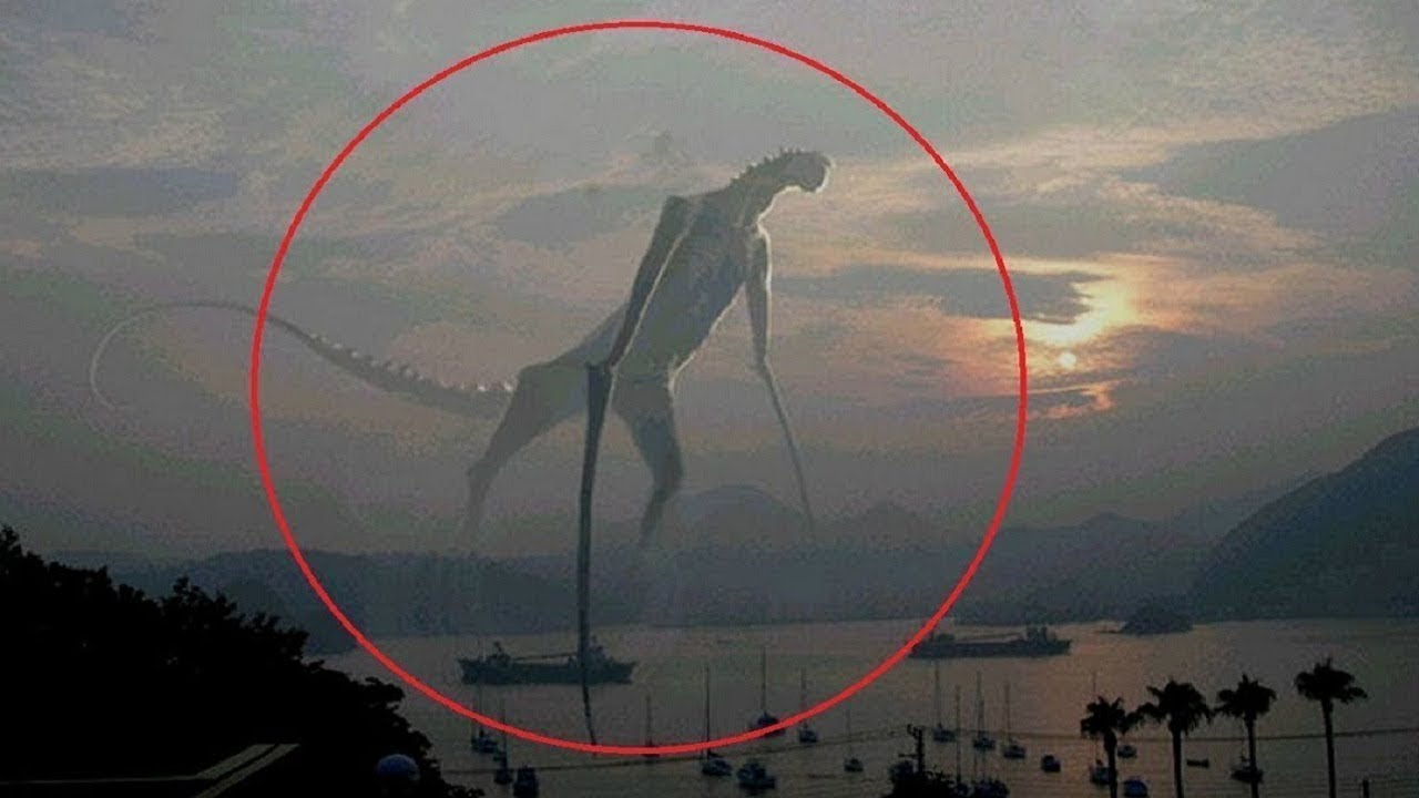 10 Mysterious Giant Creatures Caught on Tape - YouTube