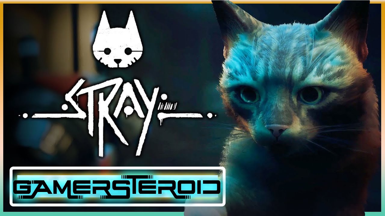 Come Meow With Me | Stray PS5 Gameplay - YouTube