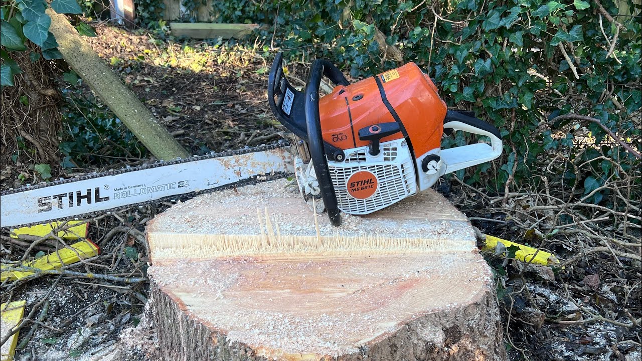Ash Tree Removal - GoPro Hero 11 - YouTube