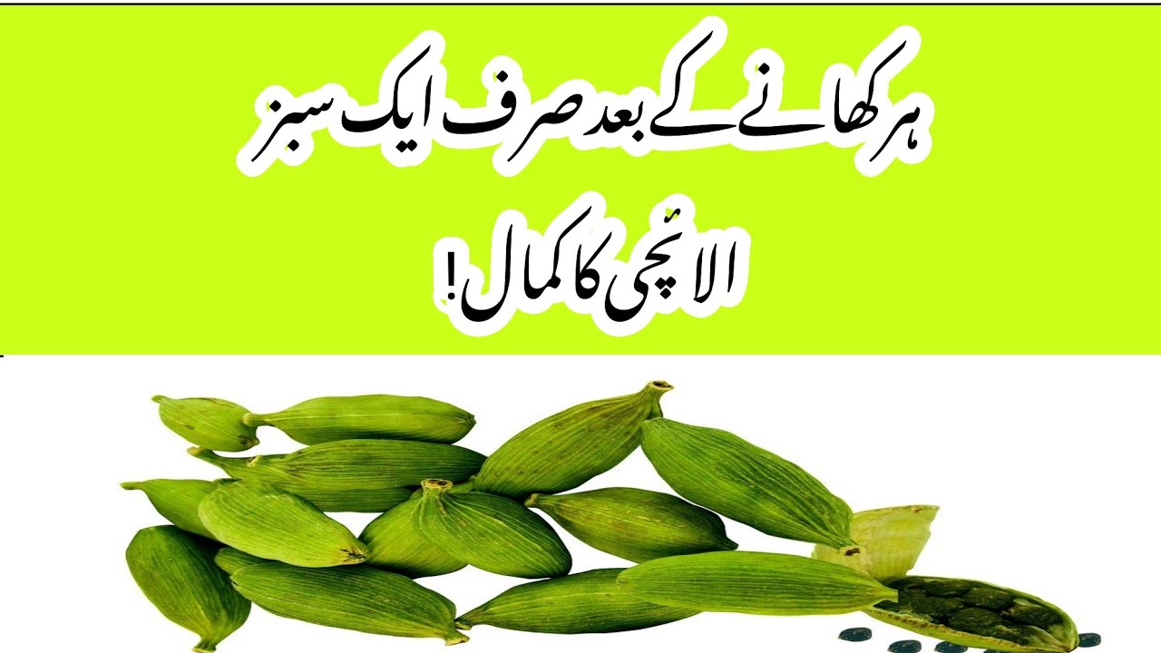 Benefits Of Cardamom In Urdu | سبز الائچی کے فوائد | Health Clinic ...