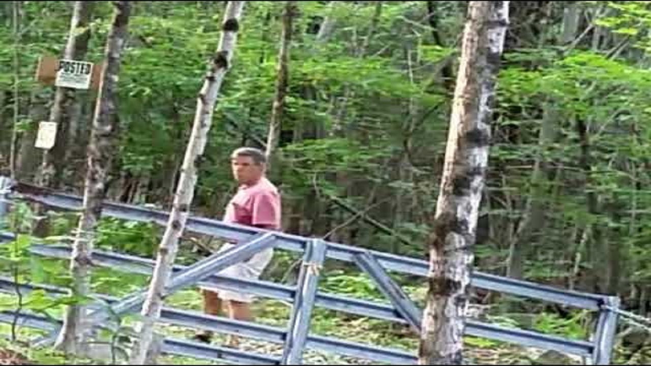Peter Binney chainsaw man harassment bullying along my property line ...